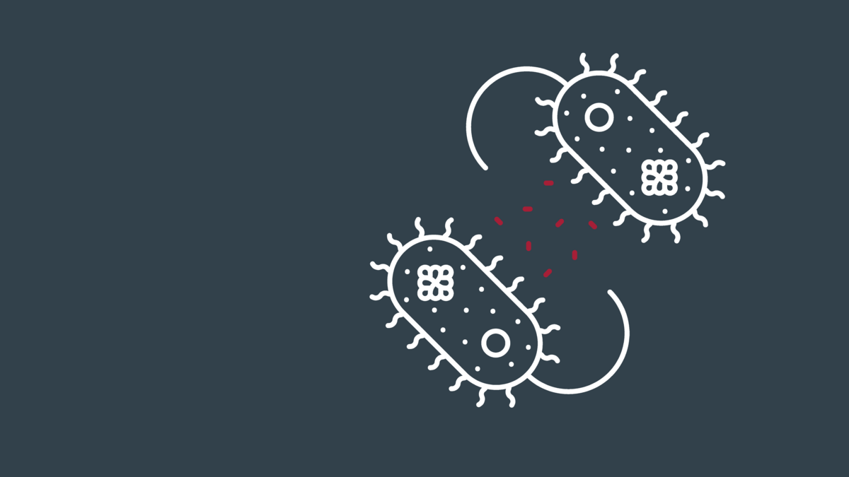 A: Bacterial Molecules and Cells