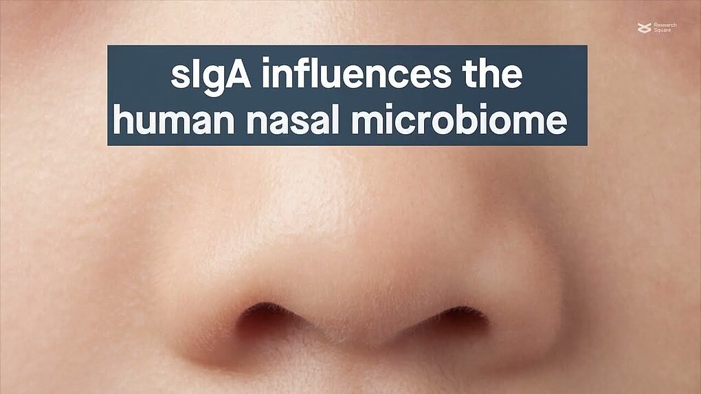 Unique nasal microbiome